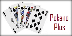 Pokeno Plus - Unique Pokeno game board alternative. The modern way to ...