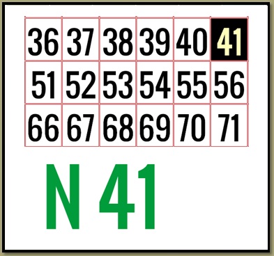 75 Ball "Bingo Flashboard (Basic)" program by Bingo Rose. Only $59.95US