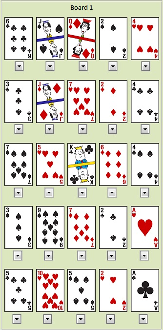 POKENO PLUS - Bingo Rose Software